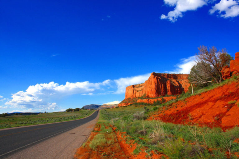 FREE Arizona Legal Forms